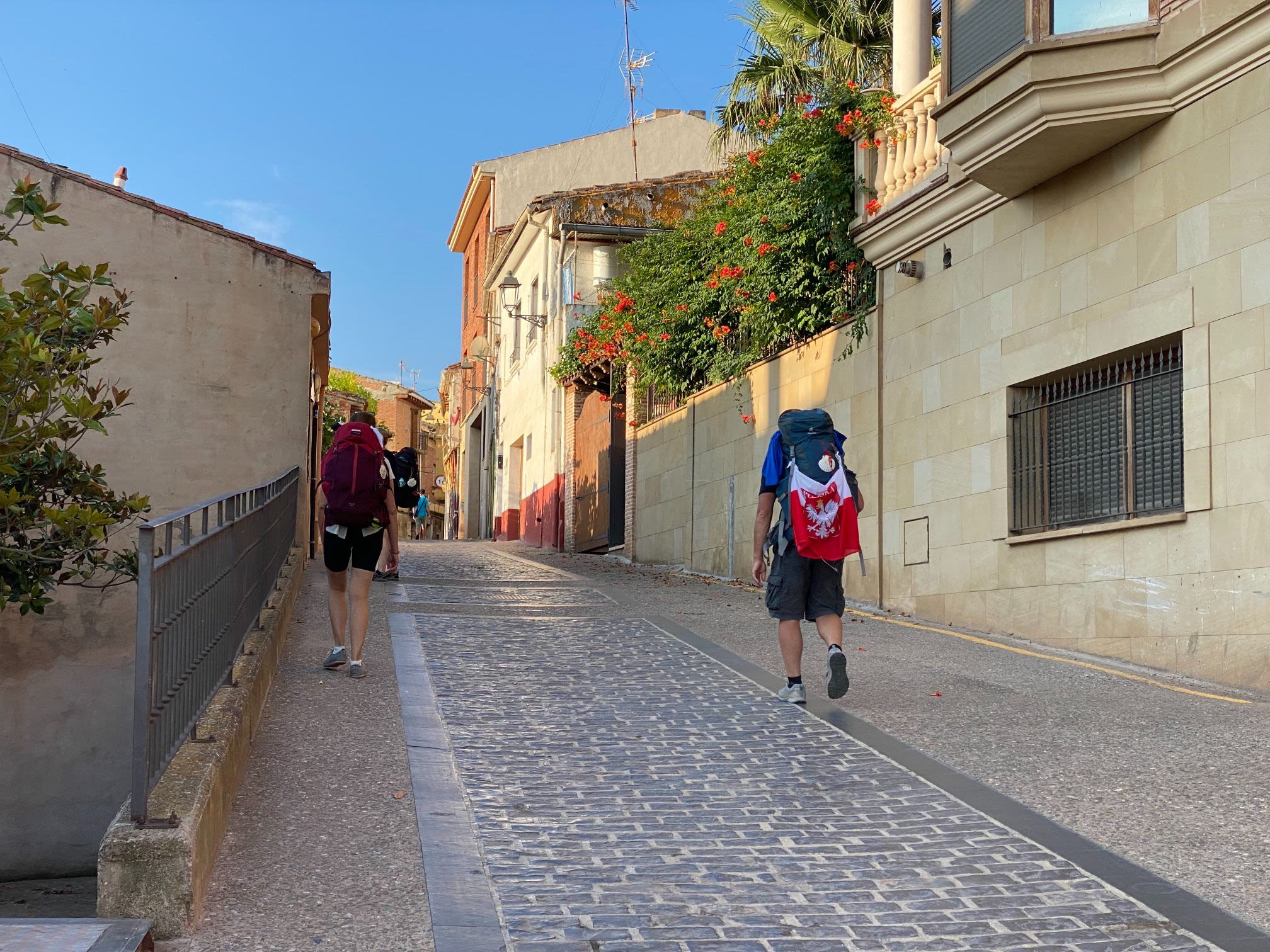 Camino: Só berei jy voor...