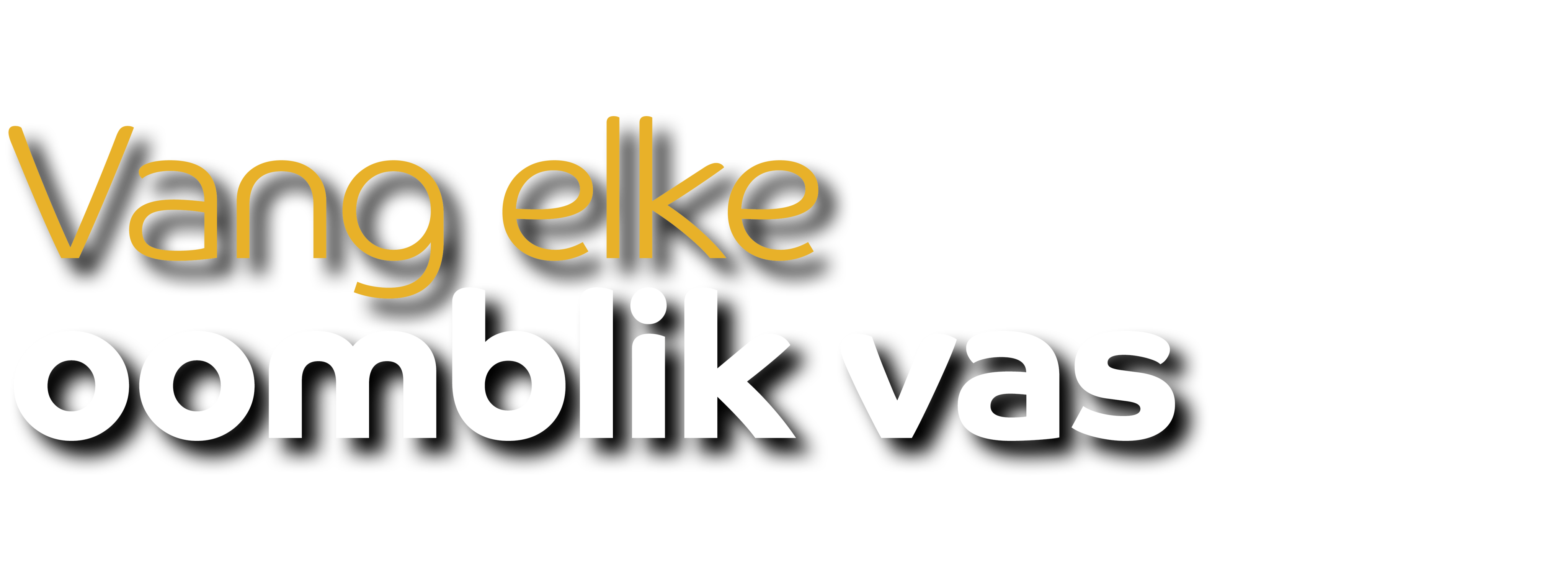 Vang die oomblik vas