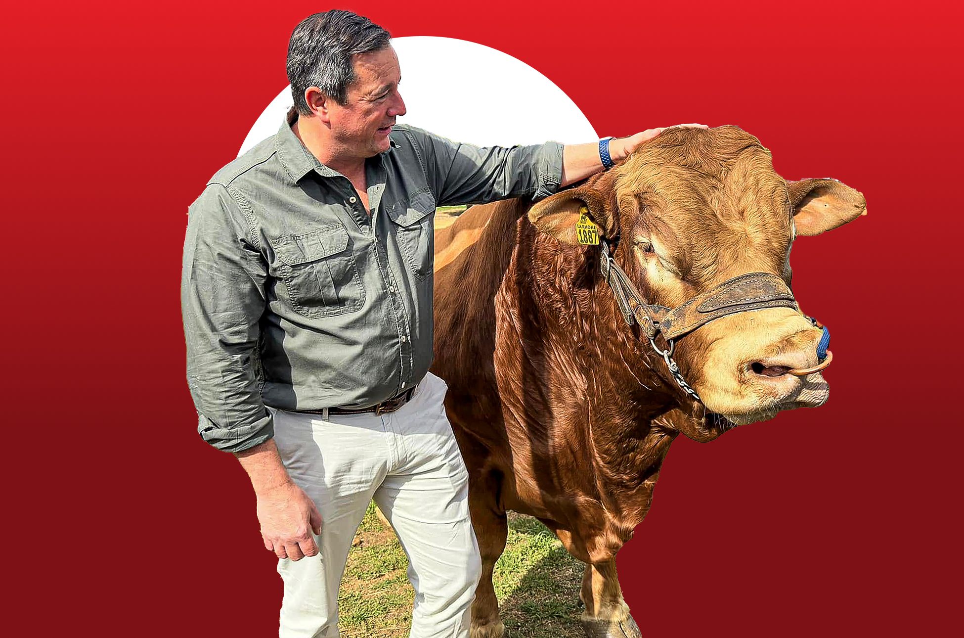 Klik hier om alles in vandag se Rapport op een plek te lees - 1 ...